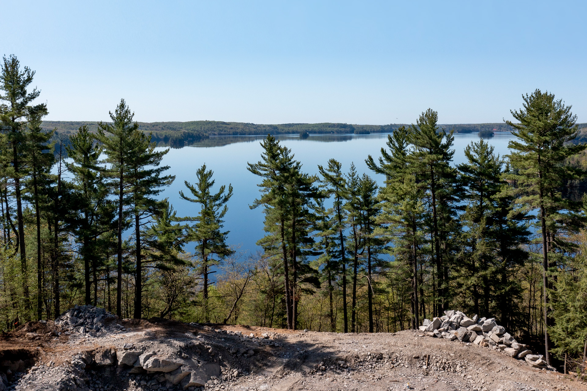 Good arborists understand their local community - Dockside Publishing