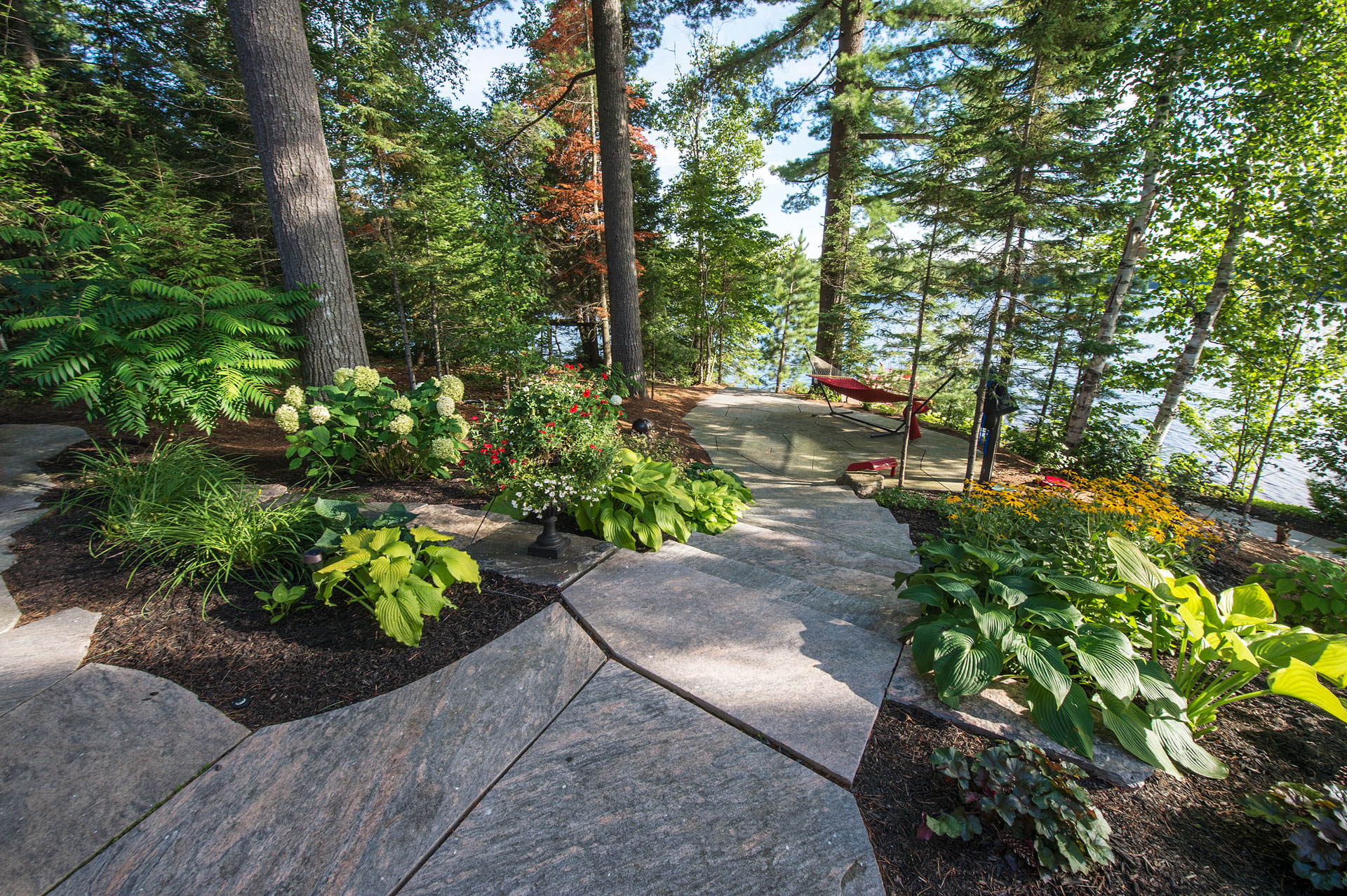 Experienced team takes properties to the next level - Dockside Publishing