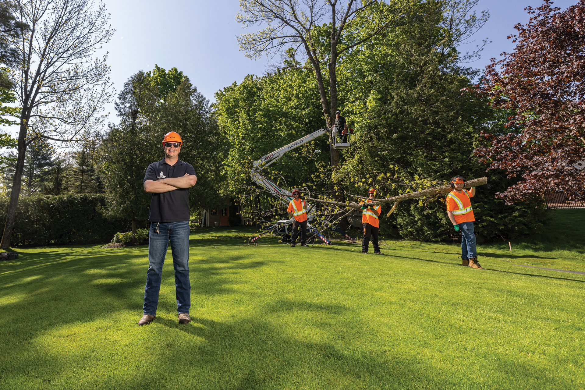 Arborists have the skills and equipment for even the most difficult ...