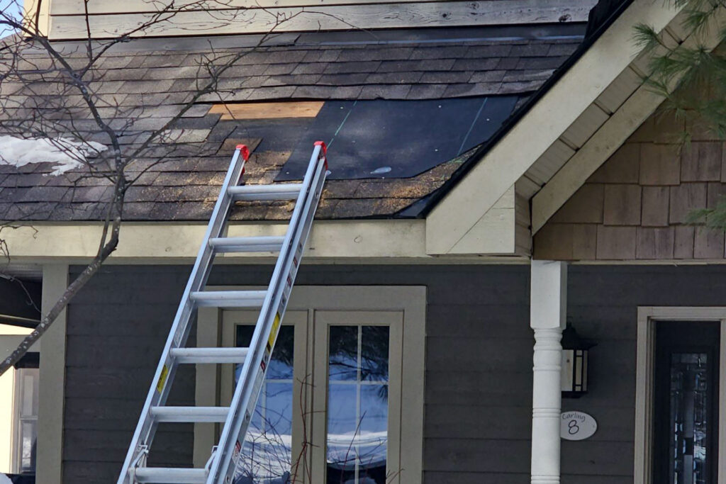 Ice, snow load wreak havoc in a brutal winter - Dockside Publishing