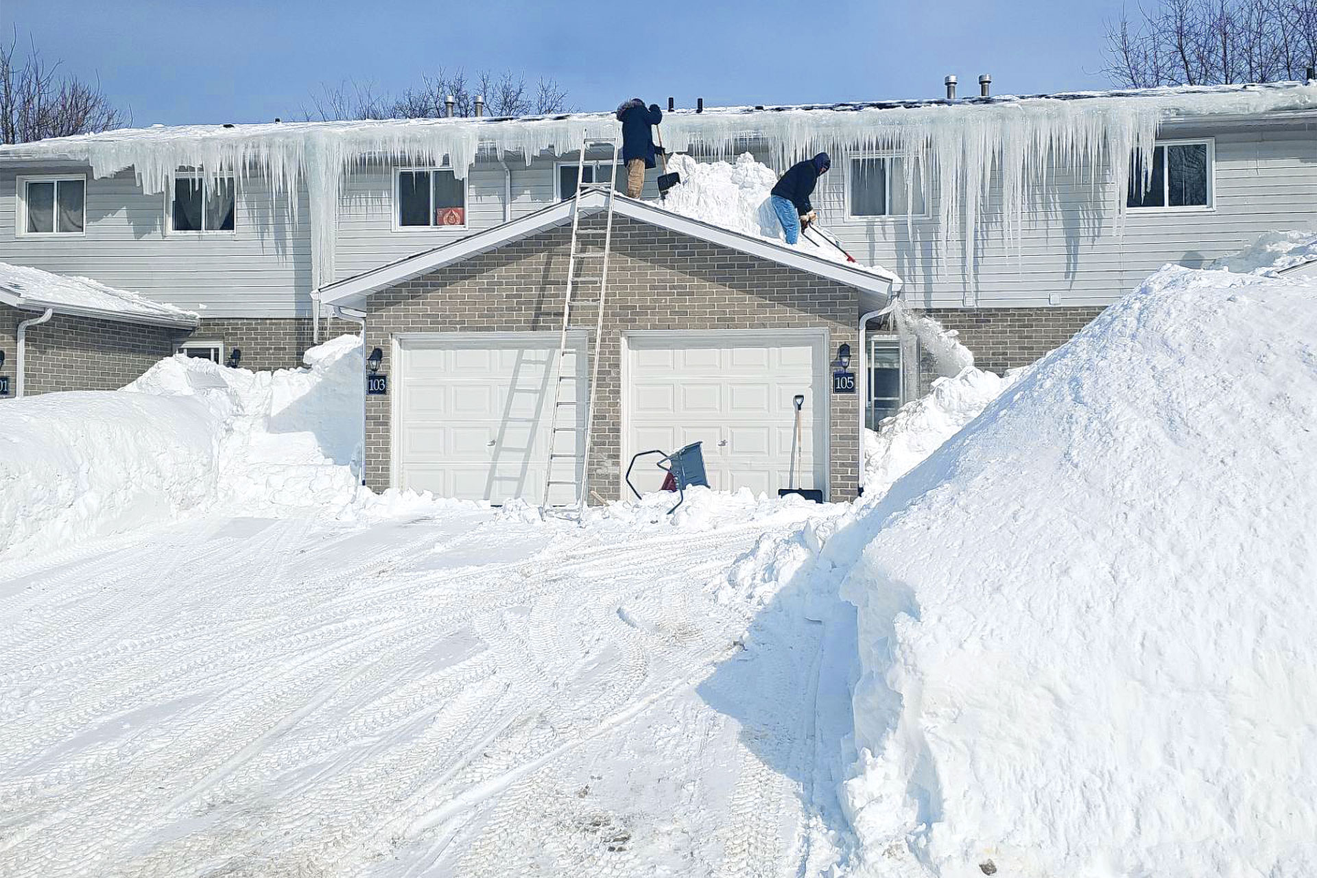 Ice, snow load wreak havoc in a brutal winter - Dockside Publishing