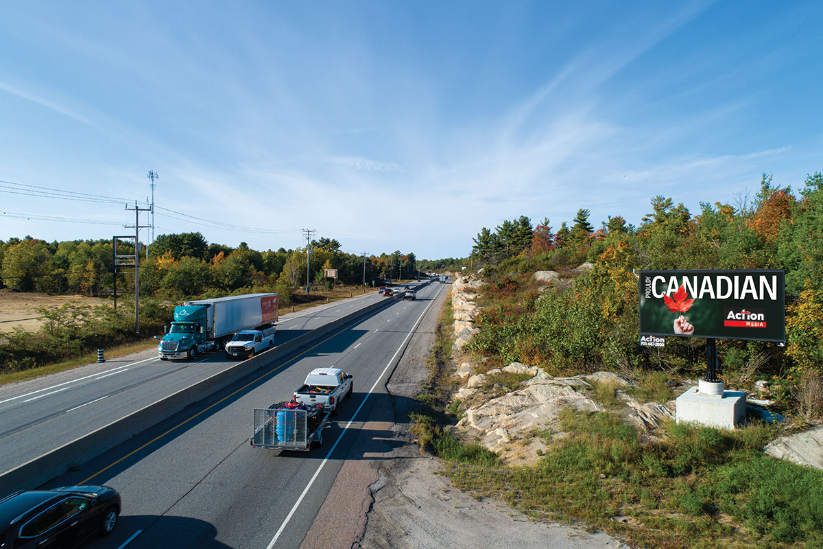 A world of digital options - Dockside Publishing